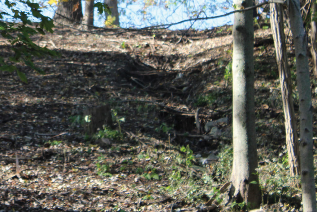 Bluff Improvements - Winnetka Park District